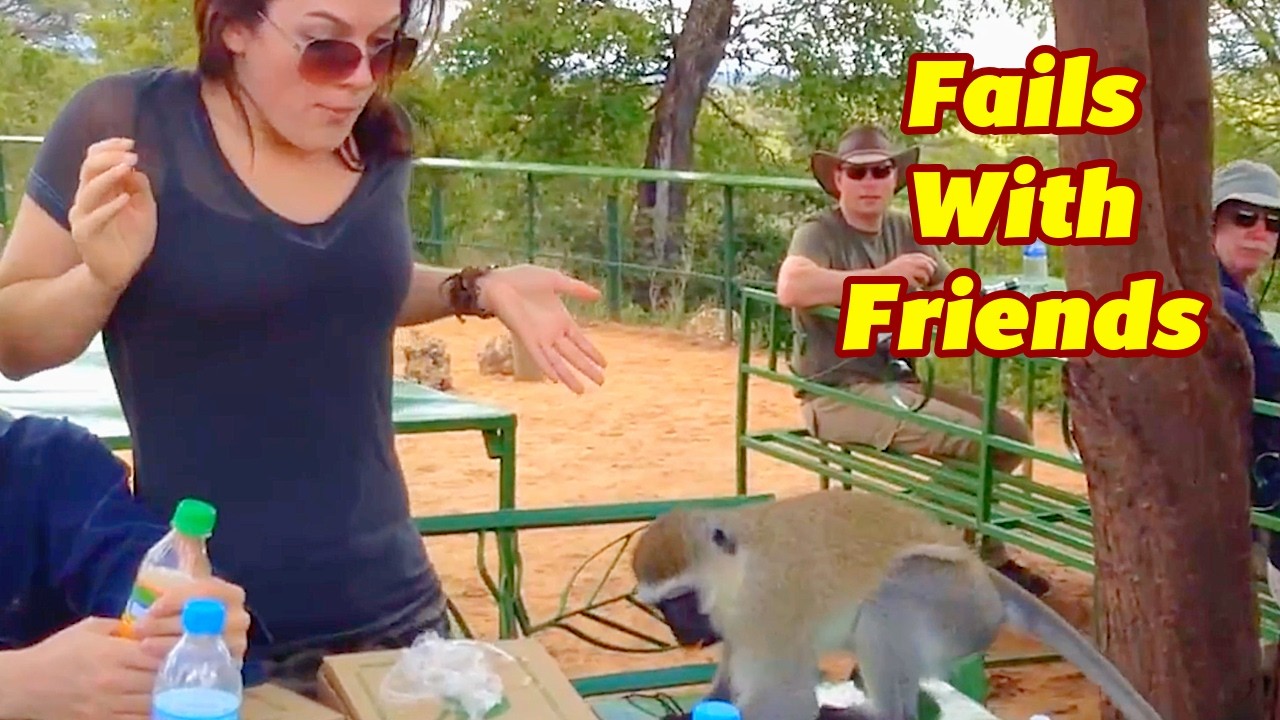 Funniest Group Fails | Everyone Fails! 😭 - YouTube