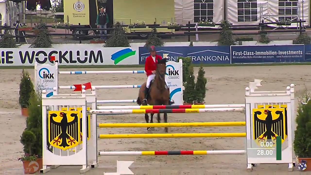 Champion De Cord, 13 j. Hengst von Champion du Lys x Cor de la Bryére ...