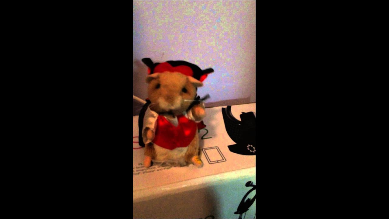 VAMPIRE Gemmy hamster! - YouTube