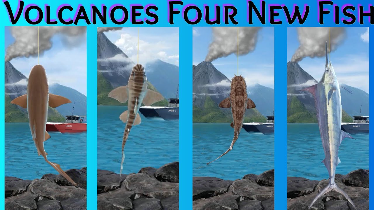 "Four New Fish Species Introduced into the Volcanoes Fishery!"/# ...