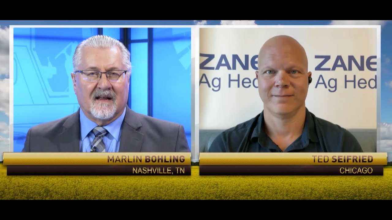 Ted Seifried On Export Sale Strength, Hogs, and What To Expect Next ...