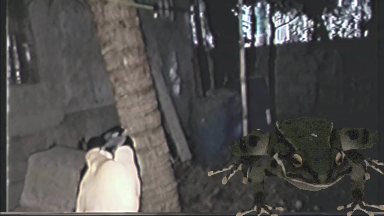 Frogman proof found footage - YouTube