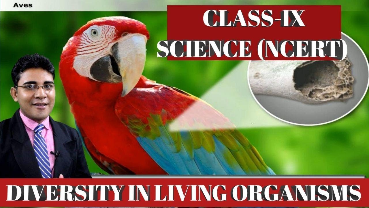 Diversity in Living Organism Part-7 | CBSE Class IX Science (Biology) Chapter 7 | NCERT ...