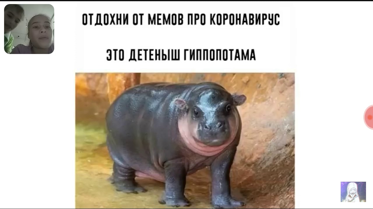 Попробуй не засмеяться челланж Youtube