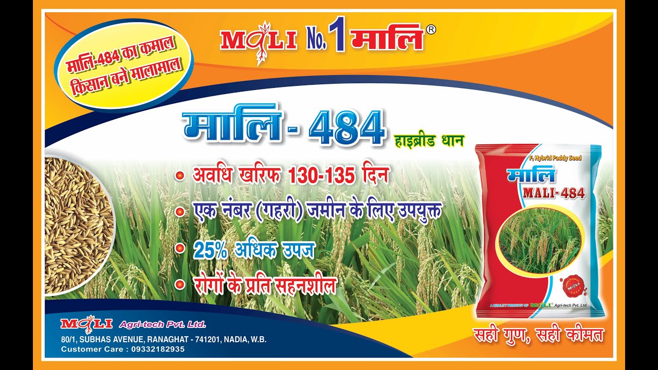 Mali seeds #MALI484 - YouTube