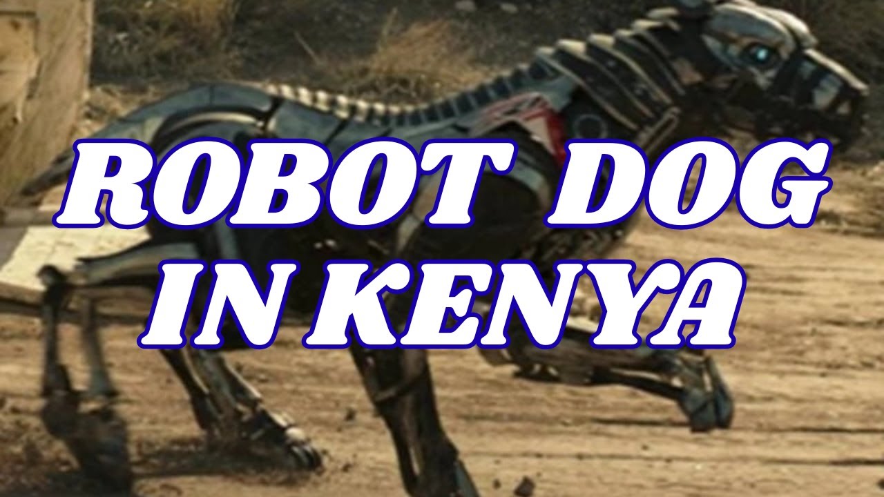 Tech A Look | This Robot dog from Kenya is changing the future forever ...