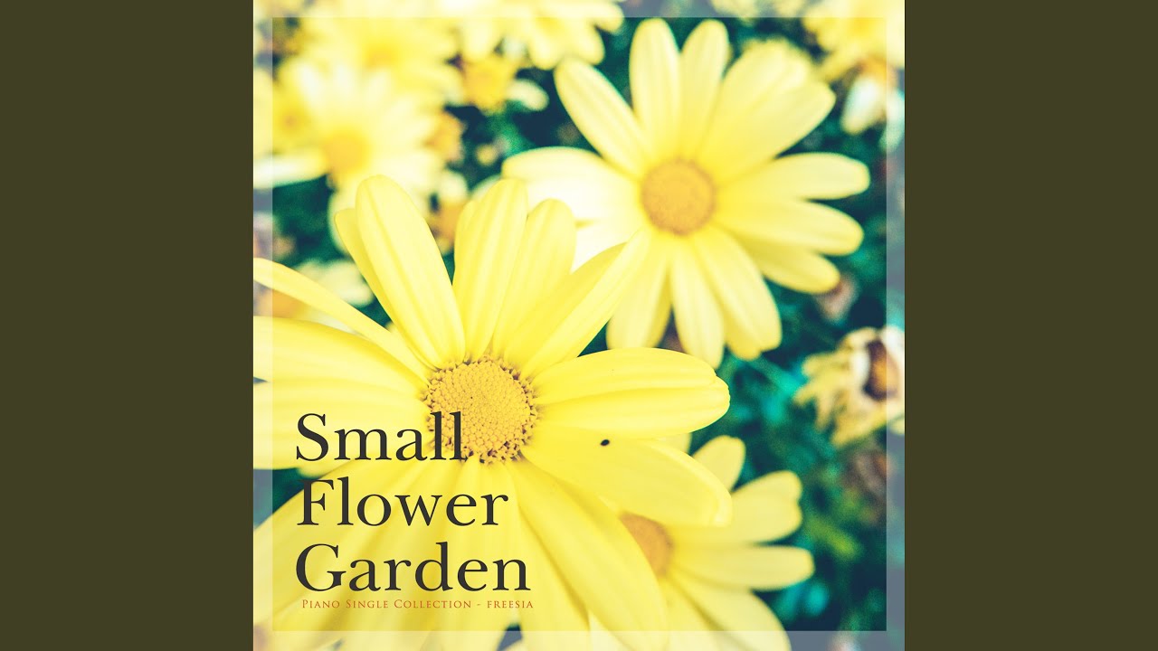 작은 꽃밭 (A small flower field) - YouTube