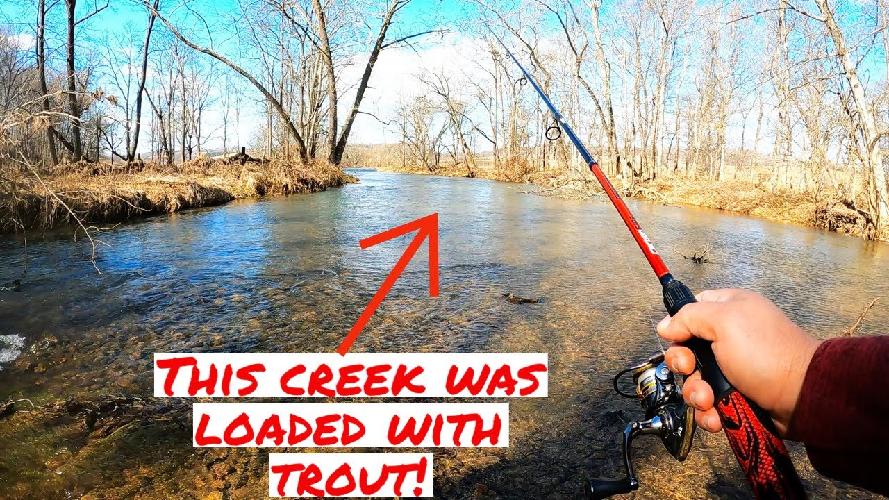 Cripple Creek TROUT Fishing NEVER DISAPPOINTS! Stunning PATTERNS ...