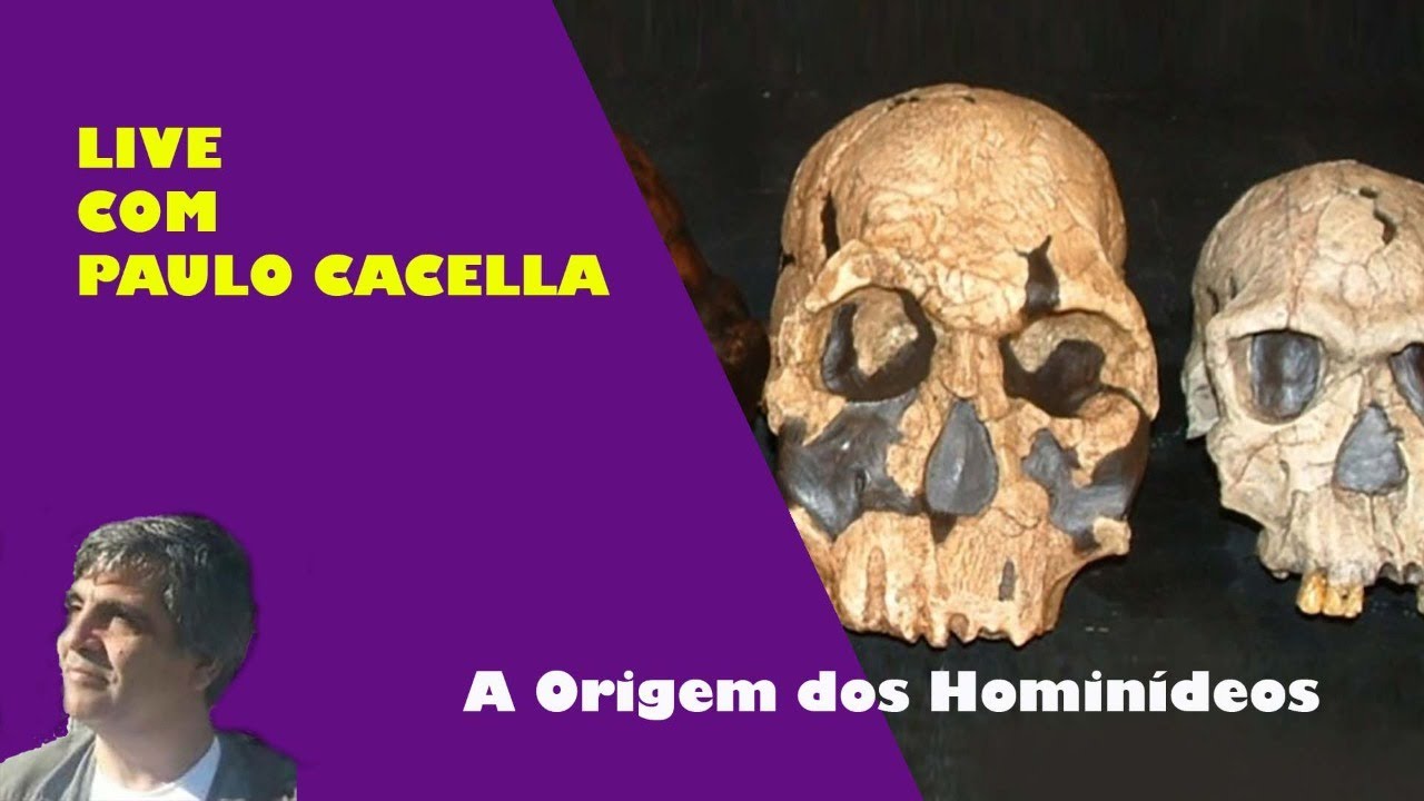 De onde viemos - A História dos hominídeos - YouTube