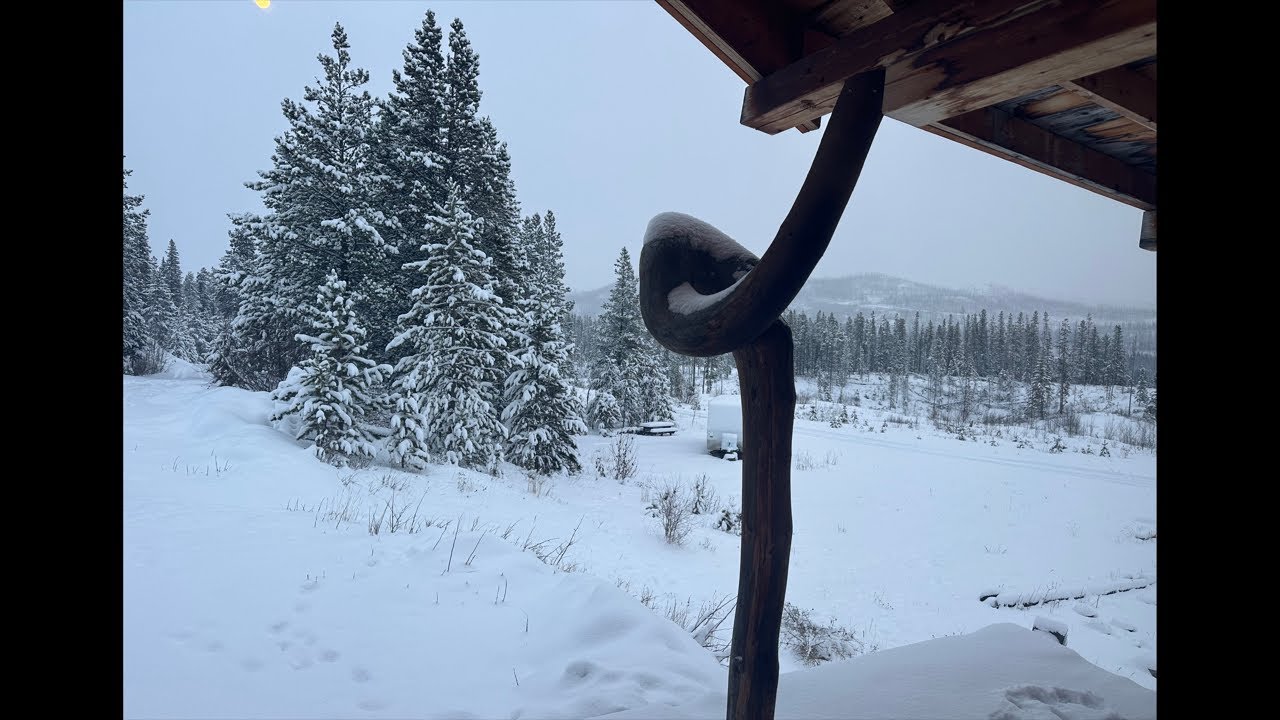 Snowed in! Winter begins now ! Live stream - YouTube