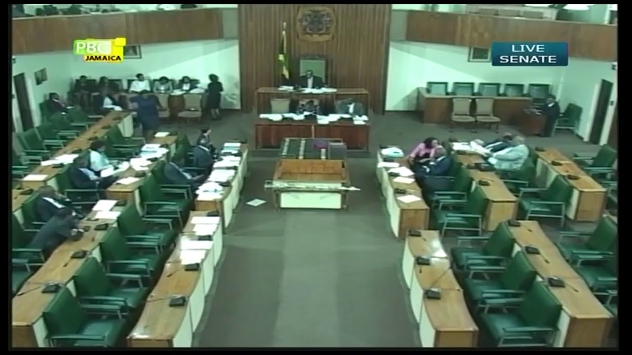 Sitting of the Senate - July 19 2019 - YouTube