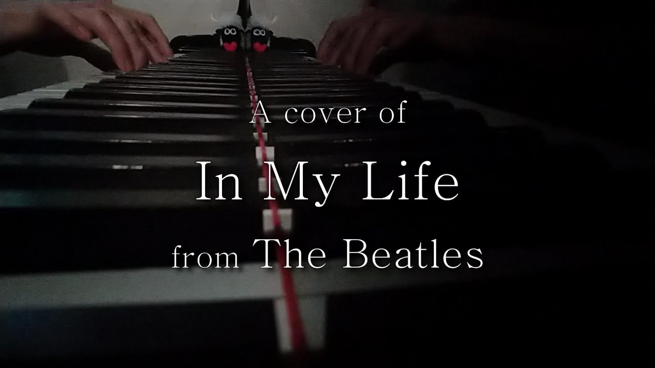 The Beatles - In My Life Cover by Shin and Go - YouTube