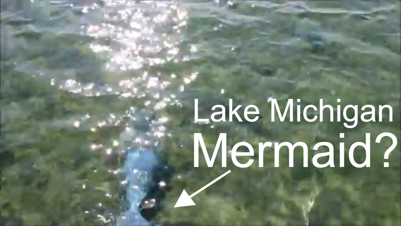 The Lake Michigan Mermaid- A silver fish-like creature found near ...