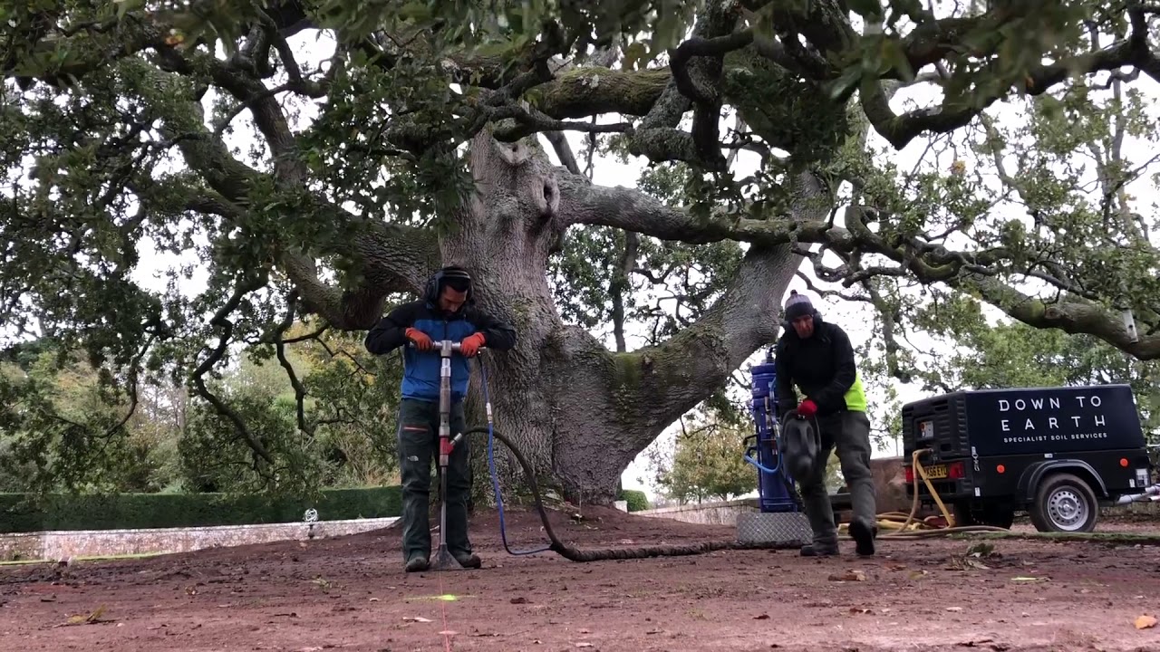 Tree root decompaction - Vogt Geoinjection - YouTube