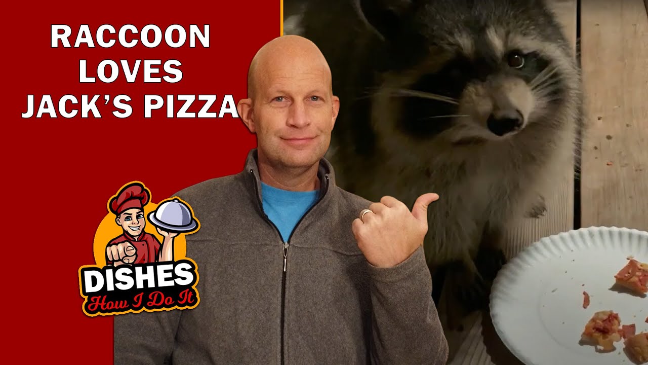 Cute Raccoon LOVES Jack's Frozen Pizza! Raccoon Frozen Pizza Review ...