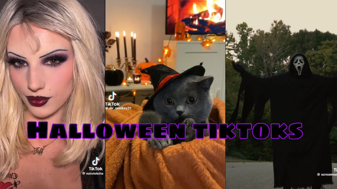 🦇🔮Halloween tiktoks🔮🦇 - YouTube