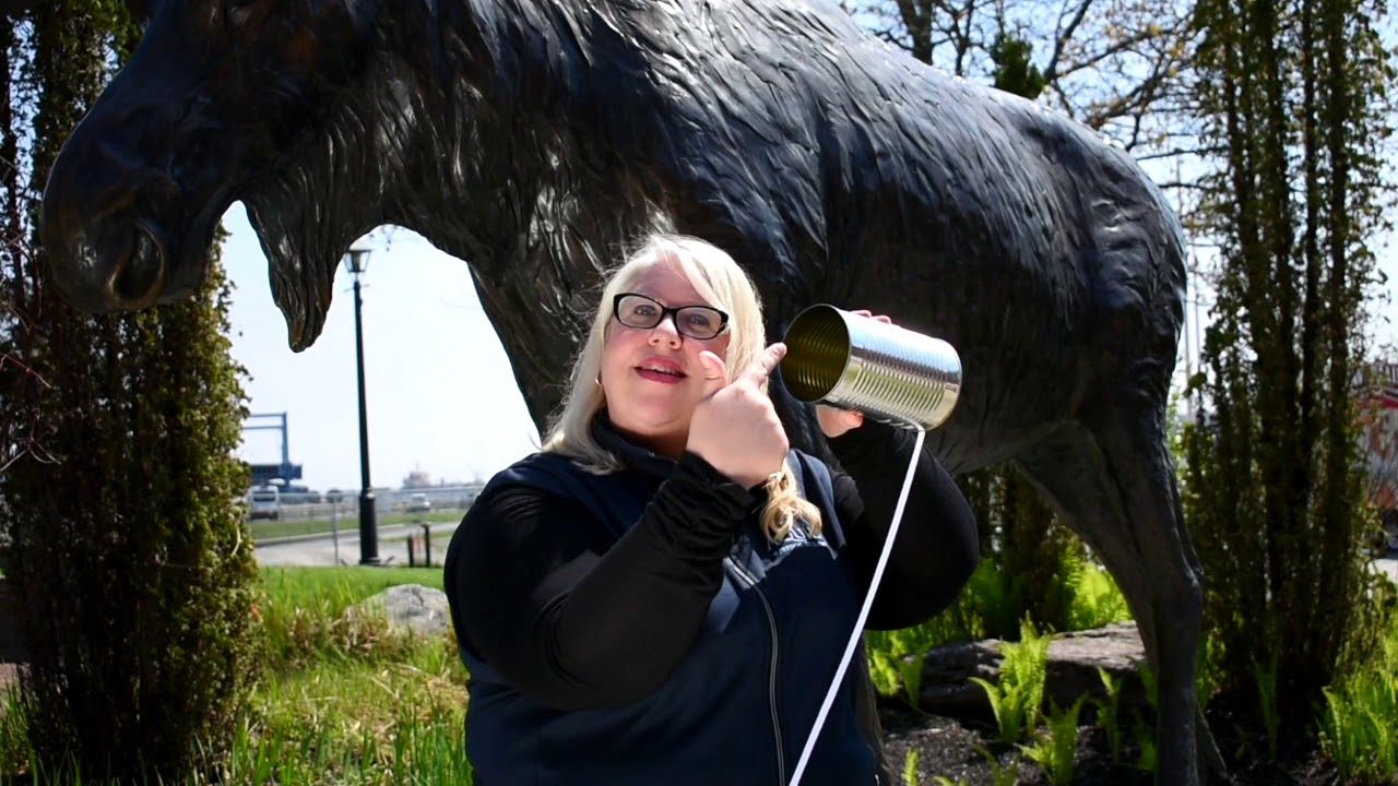 How to Meet the Magnificent Moose - Moose Calling 101 - YouTube