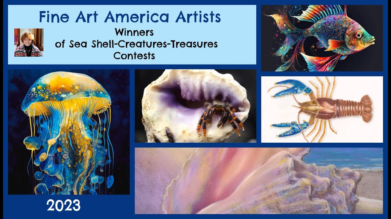 Sea Shells - Creatures - Treasures Contest Winners 2023 - YouTube