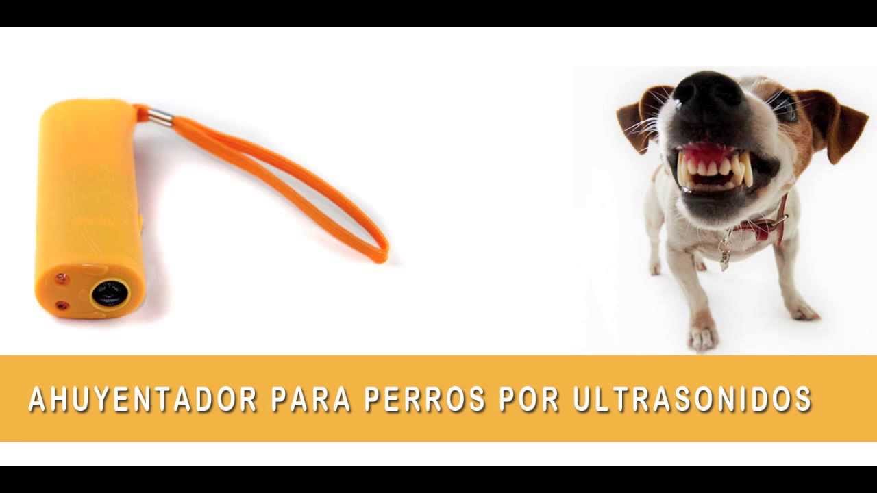 Ahuyentador para perros ultrasonidos - YouTube