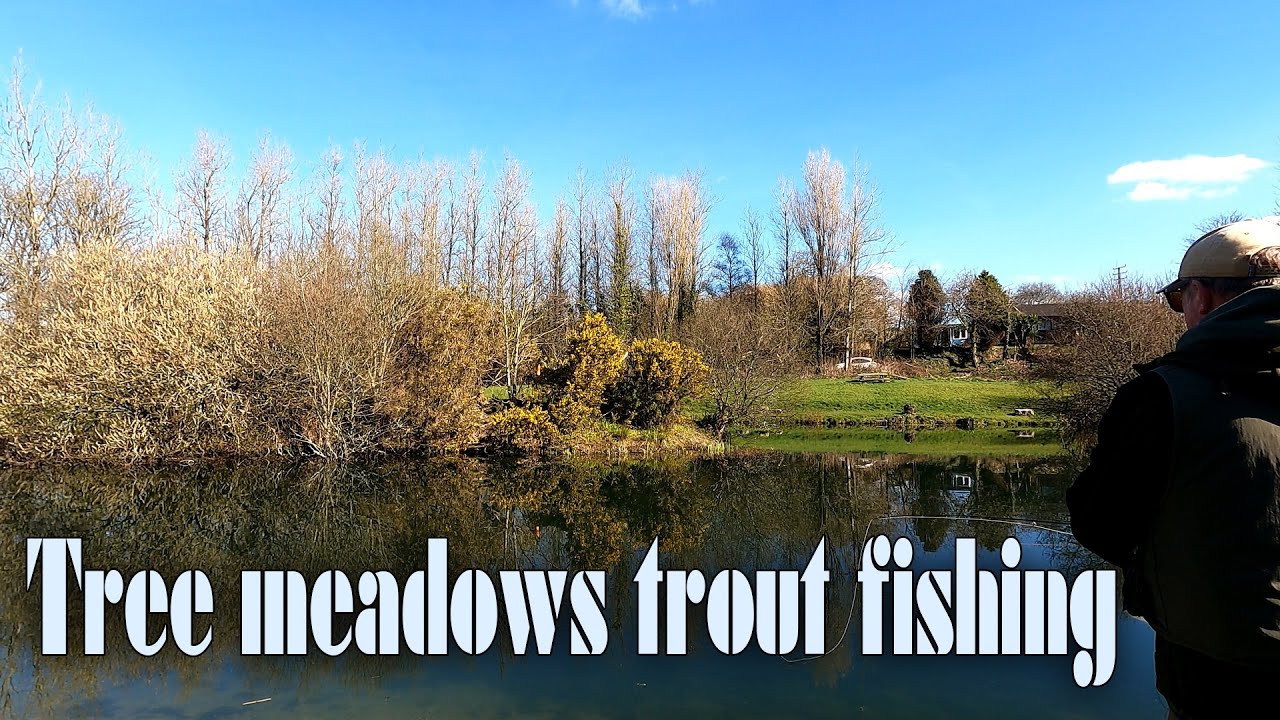 Birthday fly fishing trip Tree Meadows Trout Fishery - YouTube
