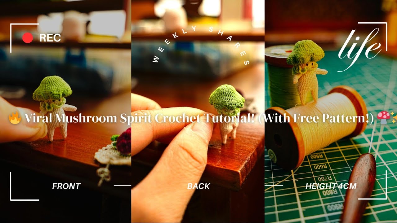 Mini crochet mushroom | Easy DIY for beginners + Free pattern - YouTube