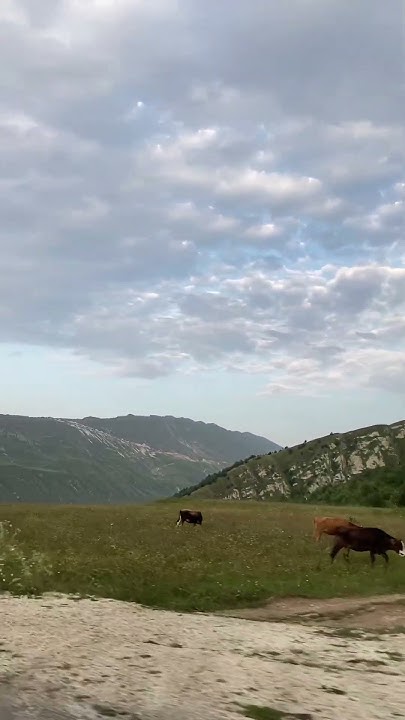 Горы зовут тех, чья душа им по росту⛰🌿 - YouTube