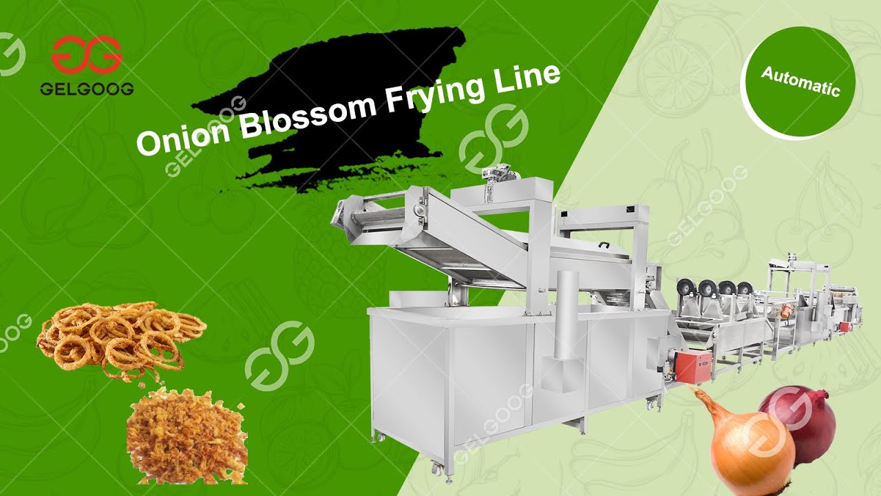 Fried Onion Rings Processing Machine/Onion Blossom Frying Line - YouTube
