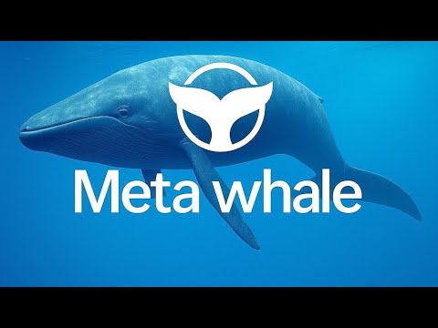 Meta Whale training session #training #metawhale #ces #bussiness - YouTube