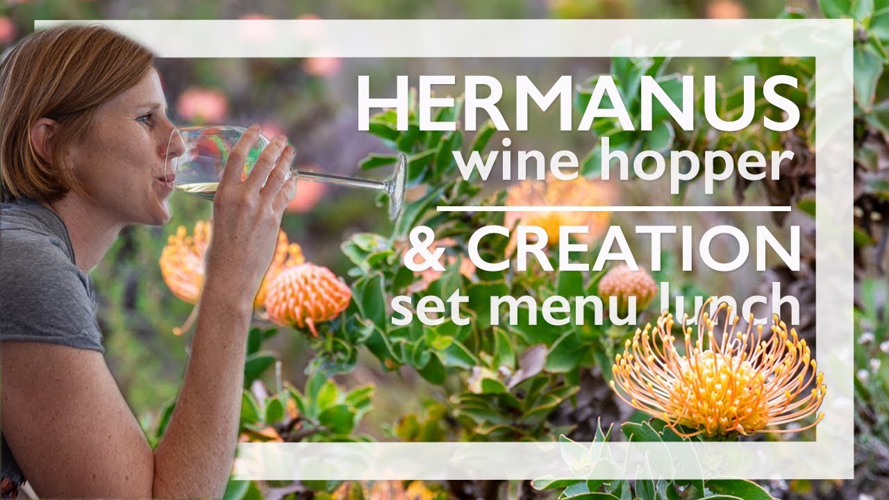 Wine hopping in HERMANUS! - YouTube