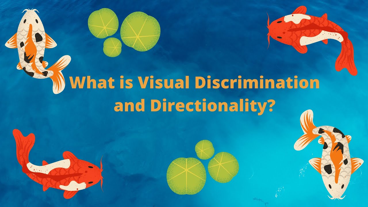 What Is Visual Discrimination And What Are Some Visual Discrimination what-is-visual-discrimination-and-what-are-some-visual-discrimination