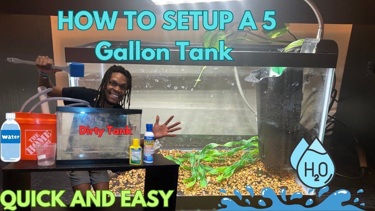 Build the Perfect 5-Gallon Fish Tank 🐠 | Full Setup Guide - YouTube