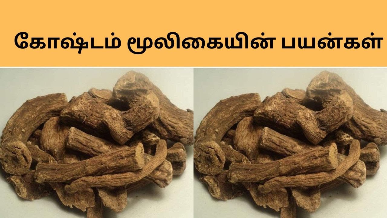 கோஷ்டம் மூலிகை பயன்கள்-Health Benefits of Koshtam - YouTube