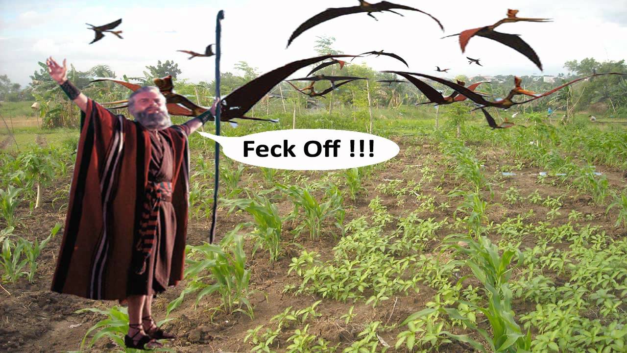 Georgia Purdom And Noah's Ark - YouTube