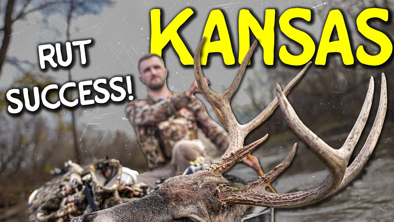 BIG BUCK AT 10 YARDS! Our Kansas Public Land Bow Hunt - YouTube