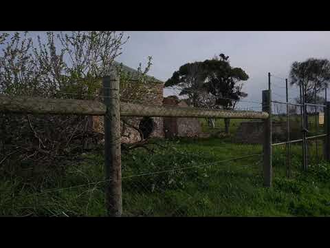 Pingle Farm Ruins, Old Noarlunga South, South Australia. - YouTube