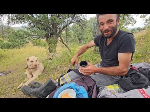Çoban onurun keyfi yerinde köy çoban hayatımız 