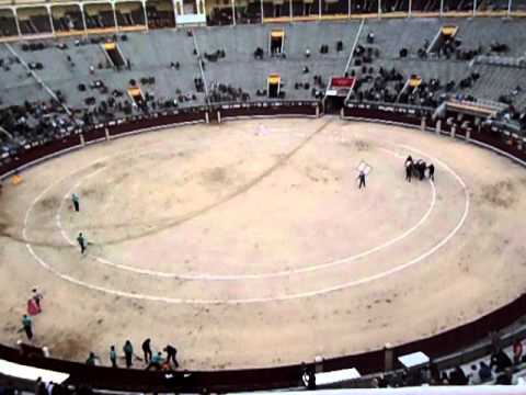 Tourada Plaza De Toro - Madrid outubro 2010 - YouTube