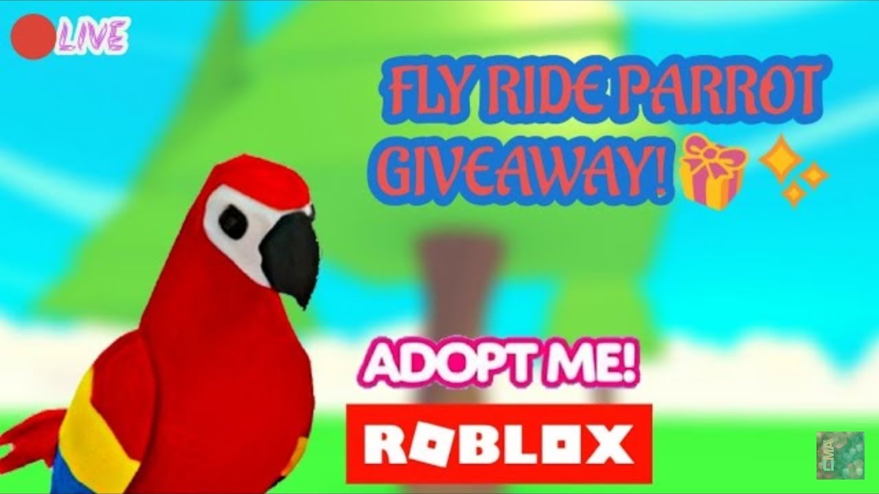 🔴LIVE adopt me FLY RIDE PARROT GIVEAWAY (Roblox) - YouTube