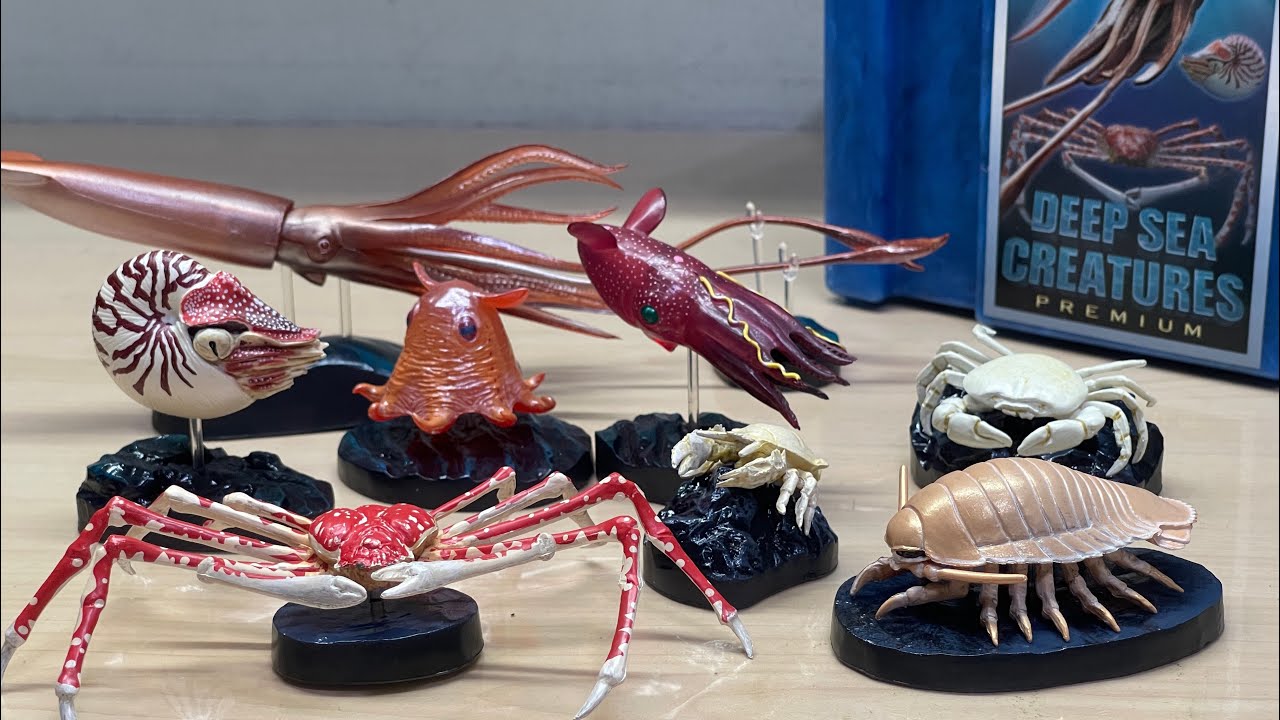 Deep Sea Creatures premium real figures - COLORATA - YouTube