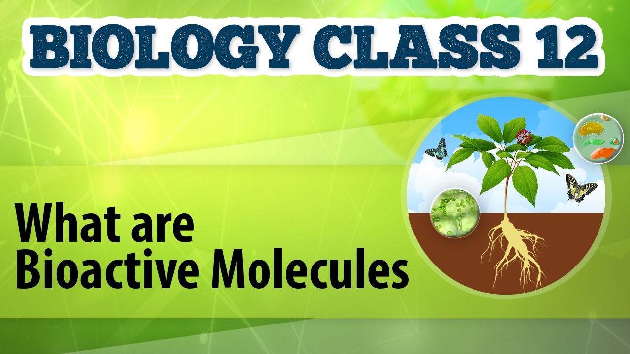 What Are Bioactive Molecules - Microbes in Human Welfare - Biology ...