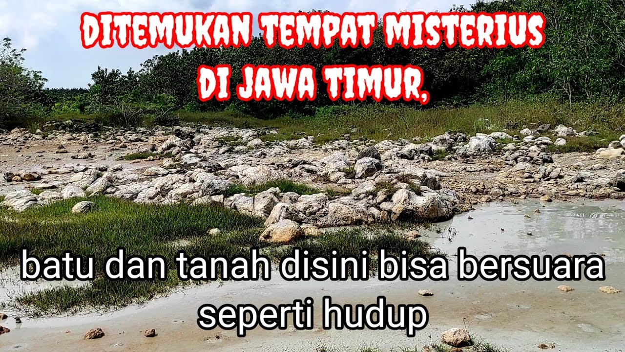 AREA MISTERIUS DITEMUKAN DI TENGAH HUTAN DI JAWA TIMUR FENOMENA ALAM ...