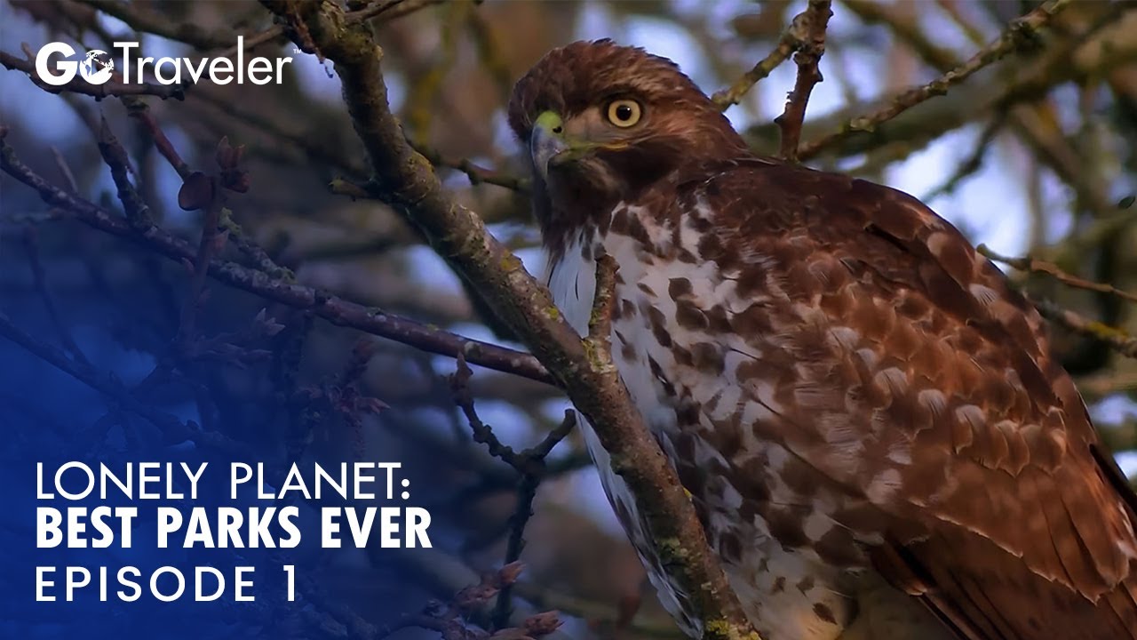 Lonely Planet: Best Parks Ever | Episode 1 | Best Parks for Jaw ...