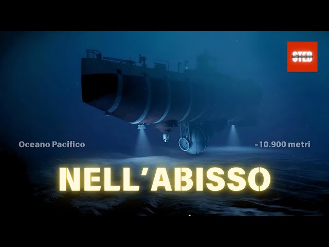 Estadio Corsario Subasta Submarino De Trieste