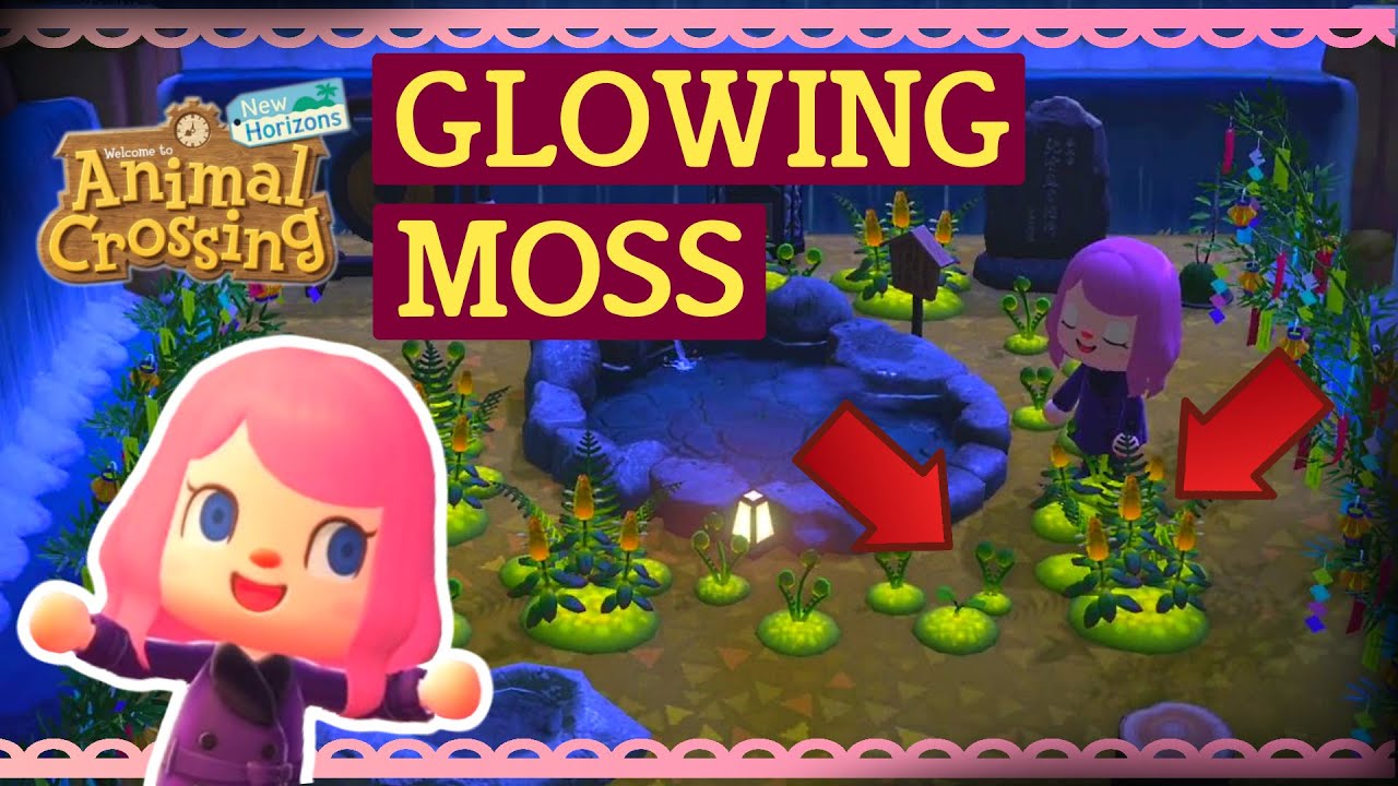 How to Get Glowing Moss in Animal Crossing New Horizons - YouTube