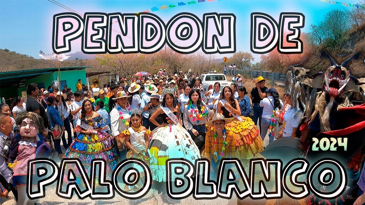 Así se vivio el Pendón de palo blanco, guerrero. #pendon #guerrero # ...