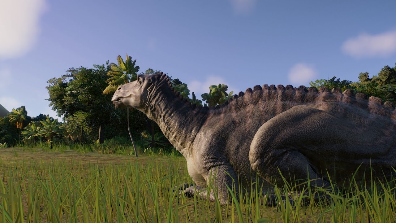 JWE2 Sitio B (Site B) 09/06/2023. - YouTube