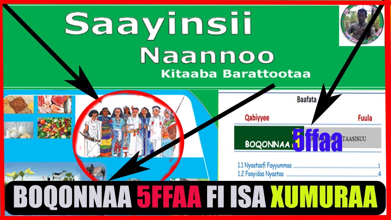 SAAYINSII NAANNOO KITAABA BARATTOOTA KUTAA 3FFAA BOQONNAA 5FFAA FI ISA ...