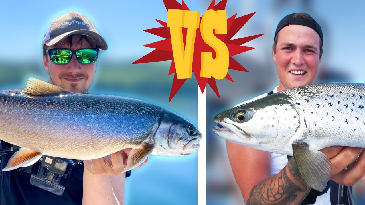 PENALTY FISHING - Fishing Trout, Salmon & Arctic Char in Crystal Clear ...
