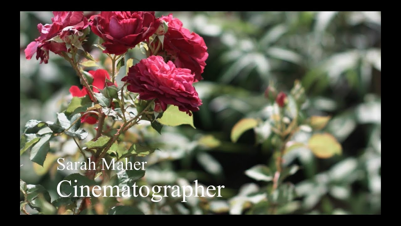 Sarah Maher - Cinematography Showreel - May 2018 - YouTube