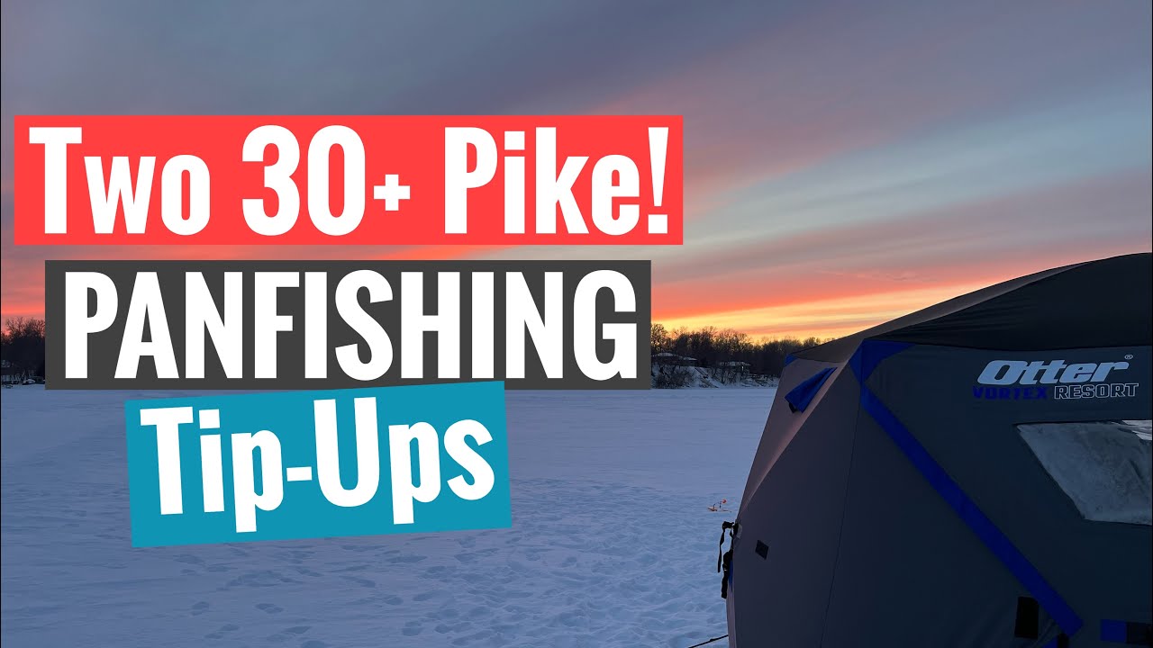 Two 30+ inch pike 🐟 while panfishing!!???!?!! 🎣 - YouTube